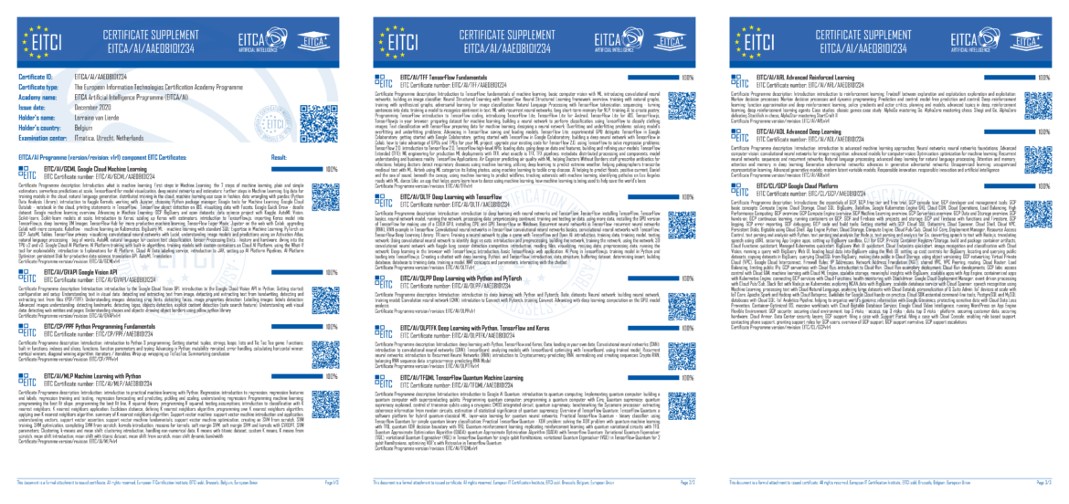 EITCA/AI Artificial Intelligence Academy - EITCA Academy